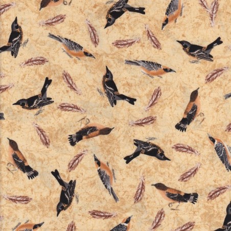 Cream Birds